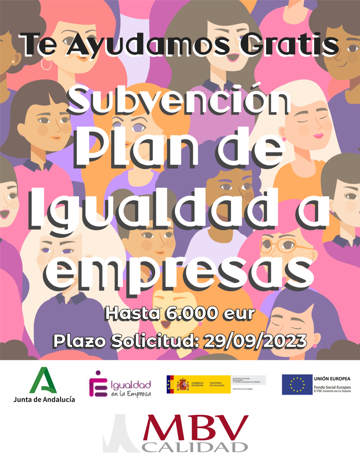 Plan de Igualdad en tu Empresa a Coste Cero - Norma ISO, IFS y BRC